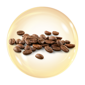 INFINI ELIXIR – Levona Paris